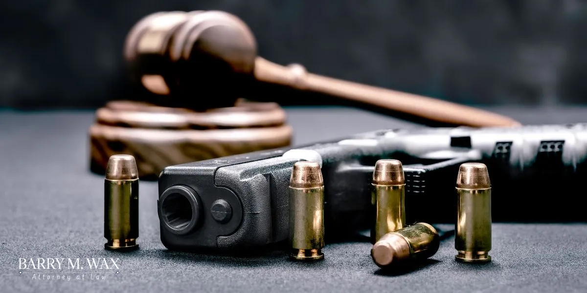 Federal Gun Laws 2024 - All You Need to Know